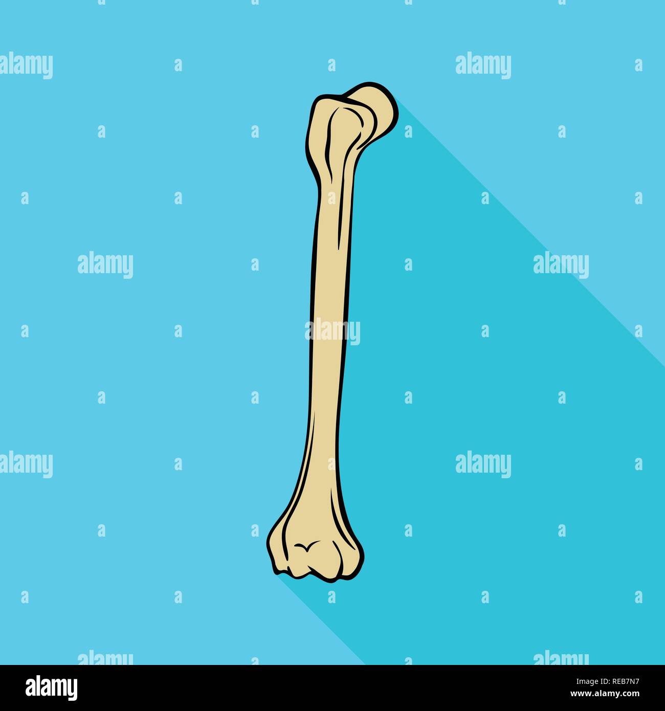 broken,fibula,shin,tibia,fracture,leg,pain,femur,surgery,bone,skeleton ...