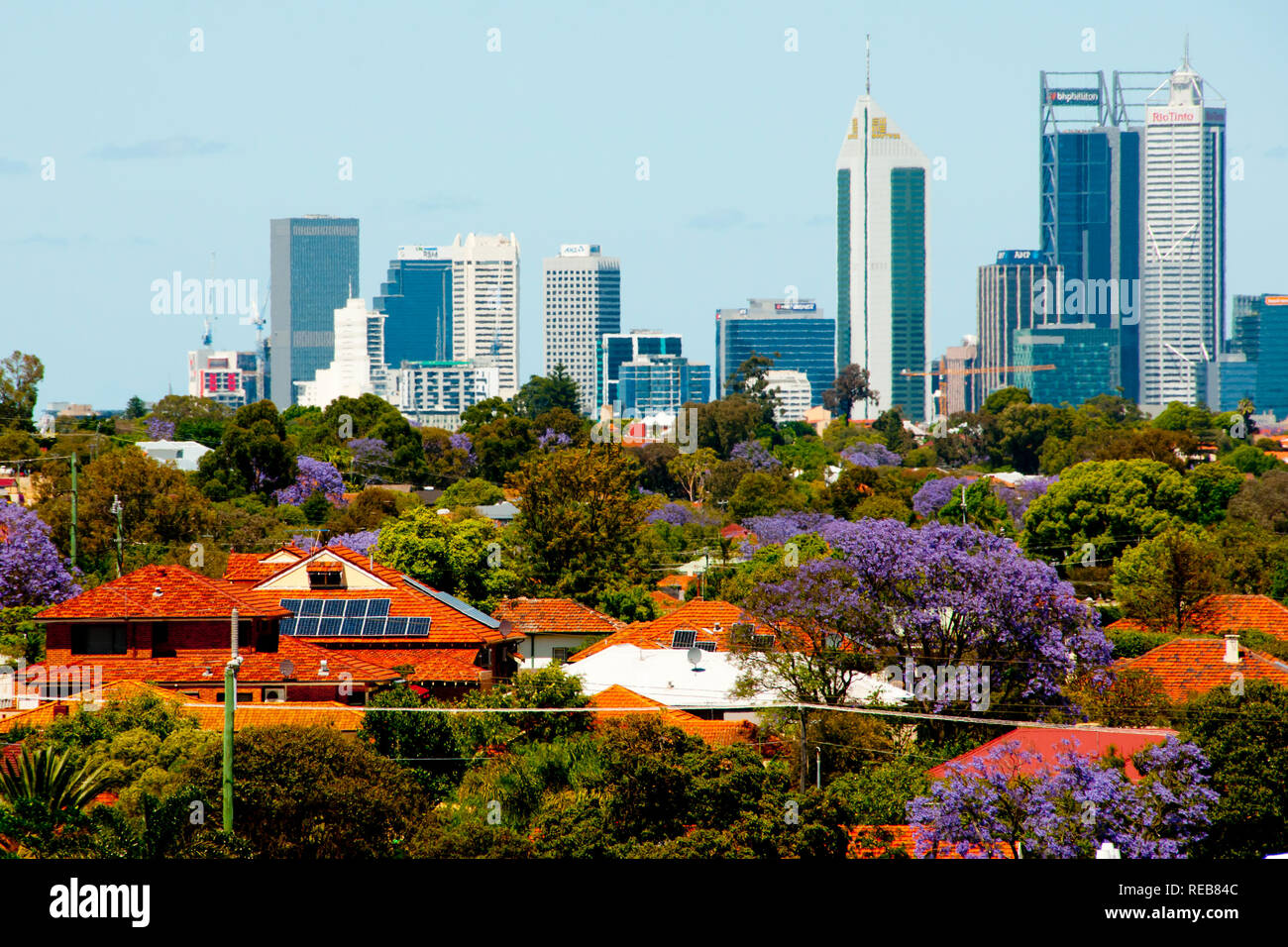 Jacaranda trees australia hi-res stock photography and images - Alamy