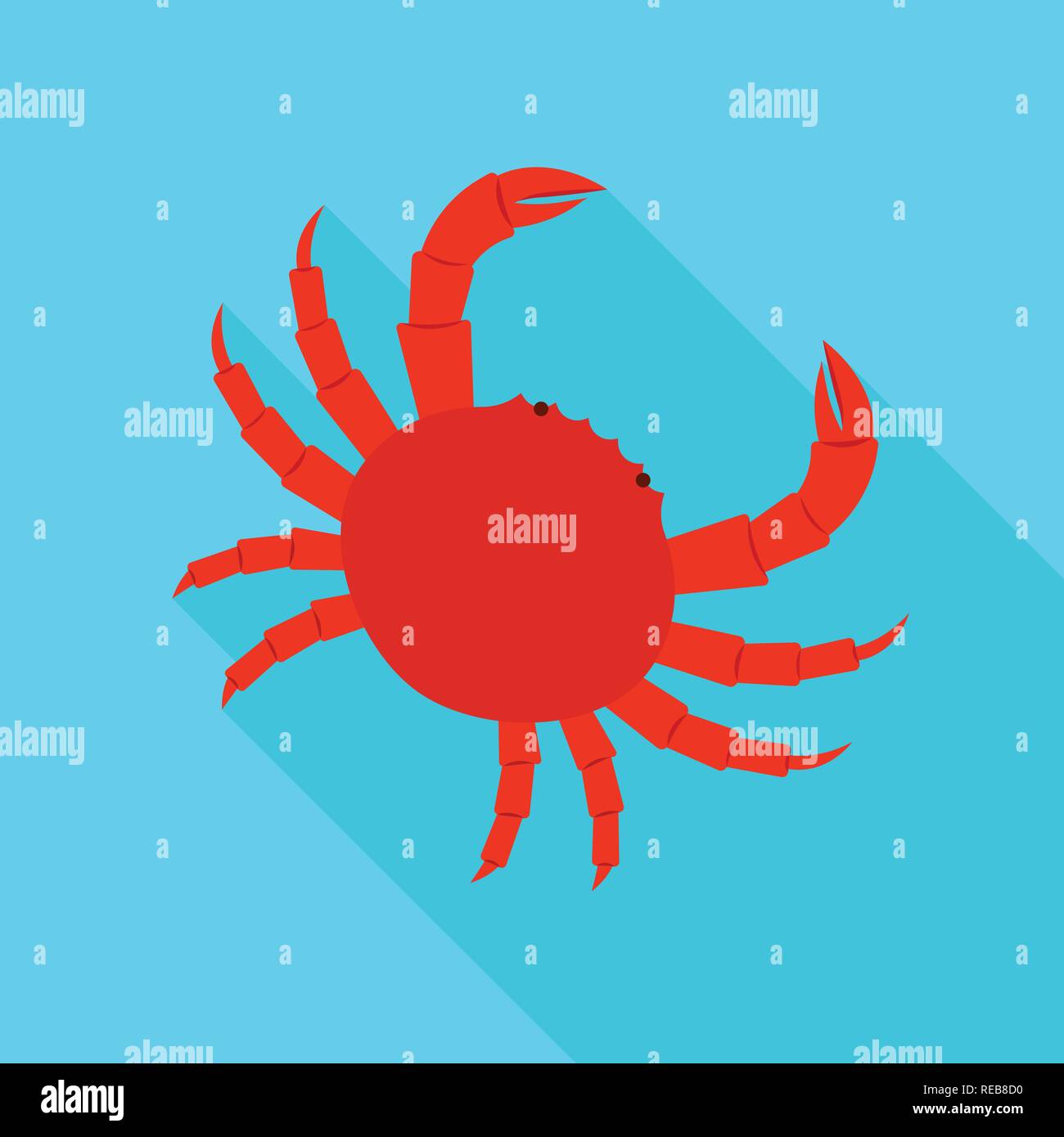 crab,shell,red,shellfish,beach,fish,water,tentacles,food,sea,seafood ...