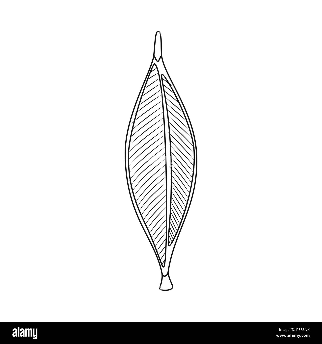 Muscle Body Clipart Outline