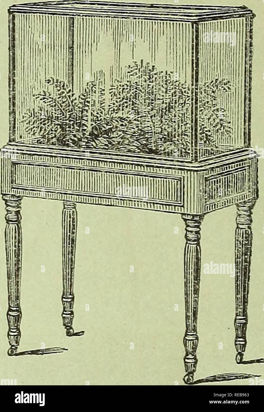 Wardian furniture hi-res stock photography and images - Alamy Wardian furniture hi-res stock photography and images - Alamy