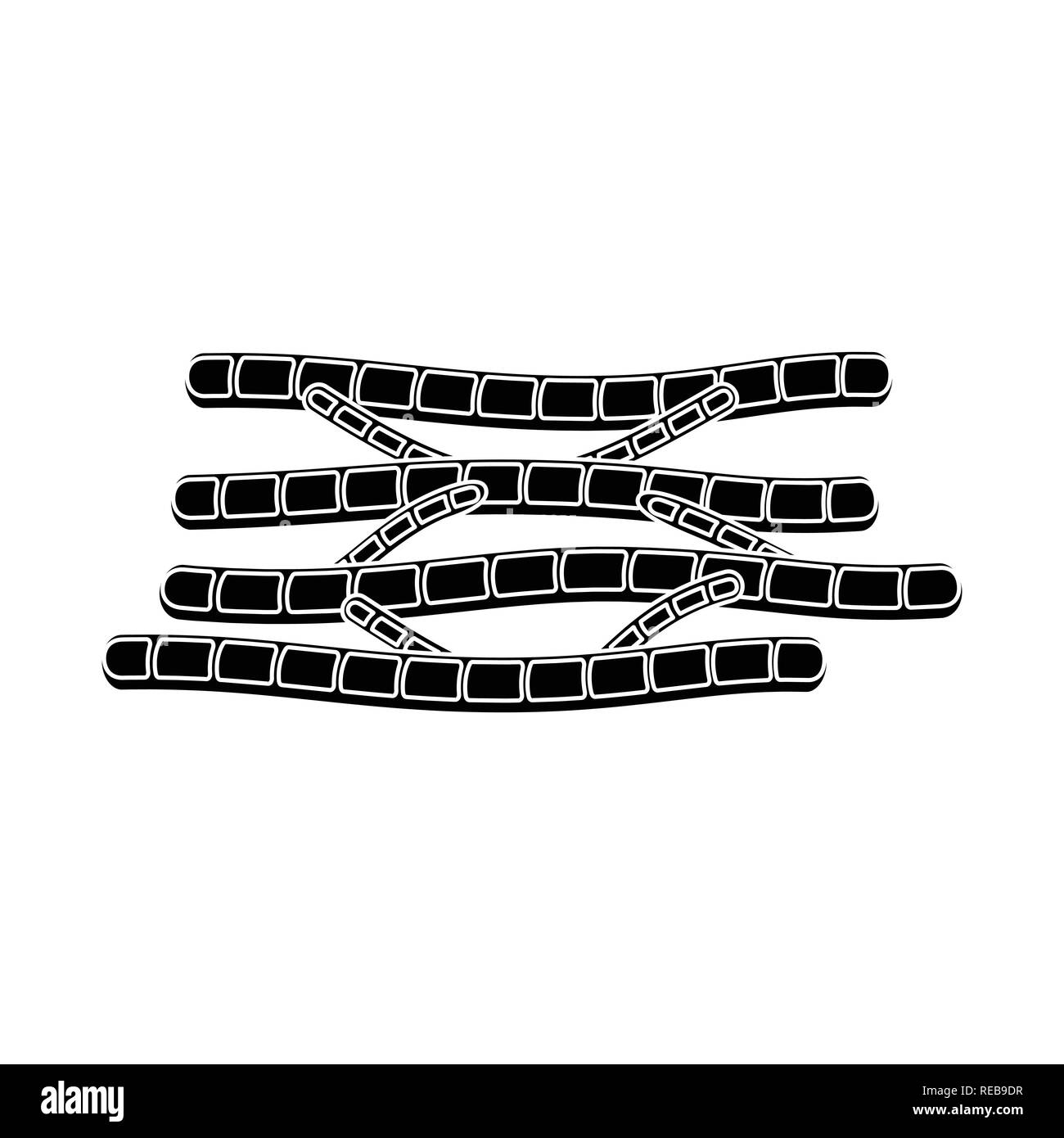 Illustration of cardiac muscle tissue Black and White Stock Photos ...