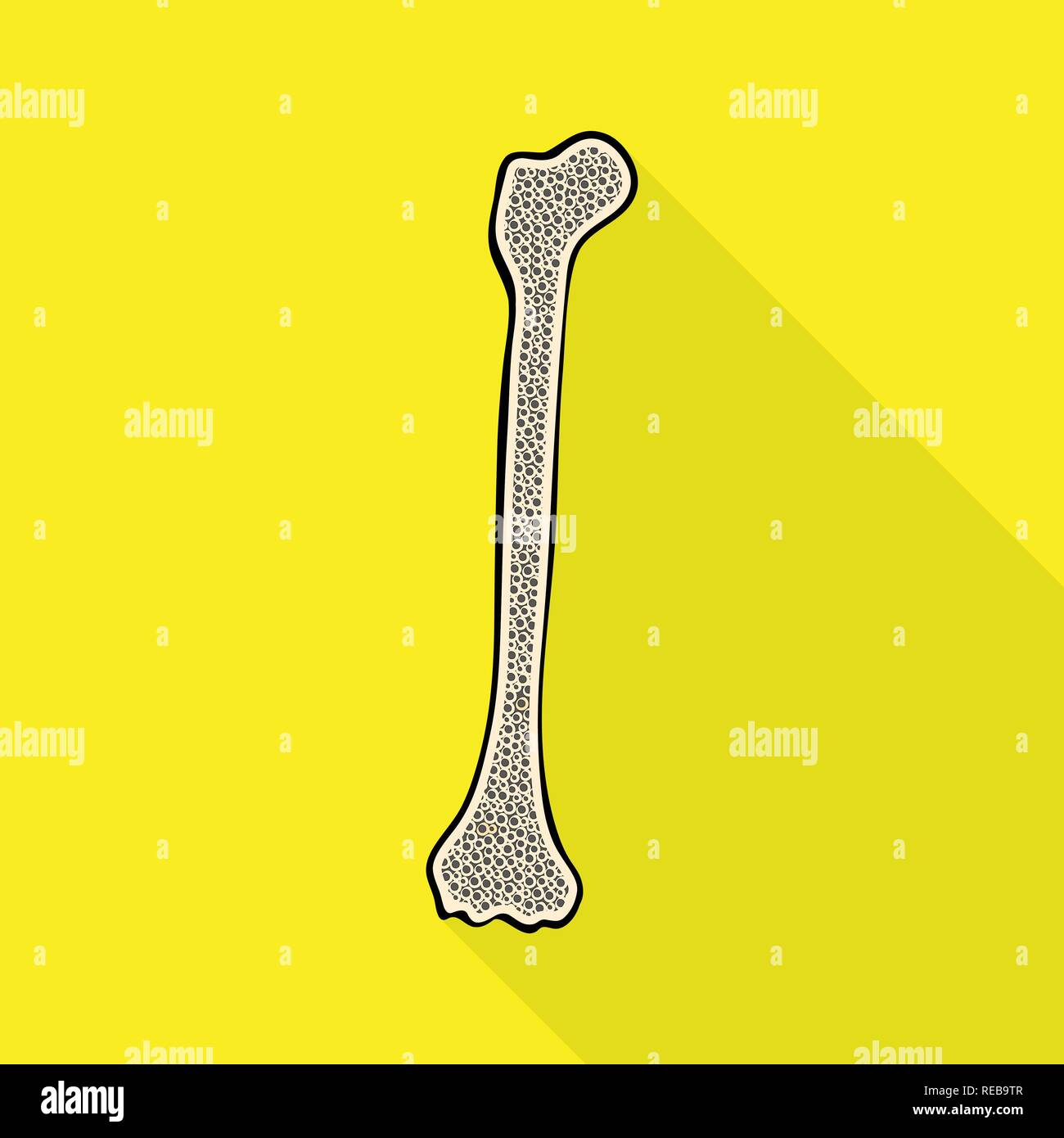 femur,bony,leg,knee,tibia,fibula,alignment,joint,movement,calcium,bone ...