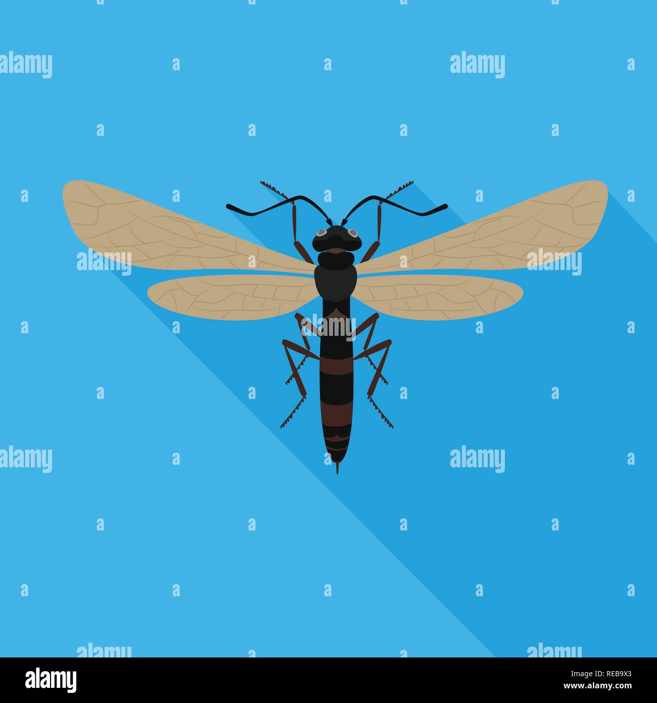 fly,insect,pest,control,stop,wings,insecticide,killer,wildlife,summer ...