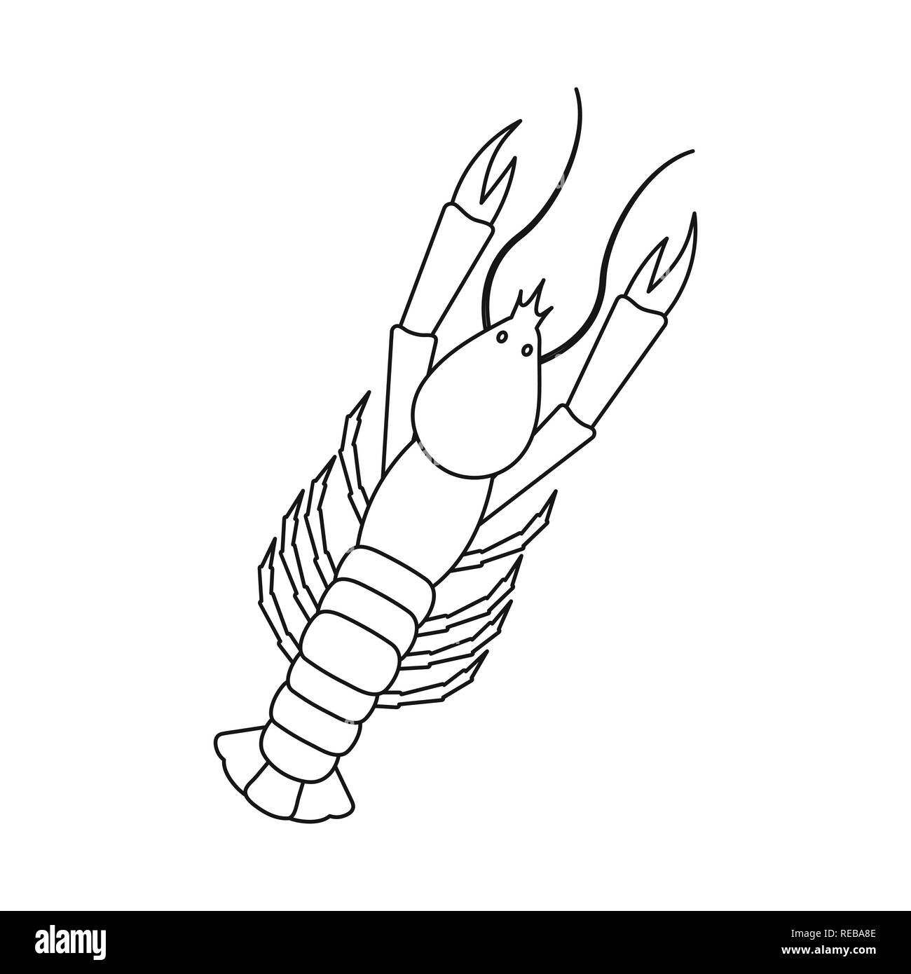 lobster,cooked,luxury,crayfish,meat,red,underwater,claws,mustache,food ...