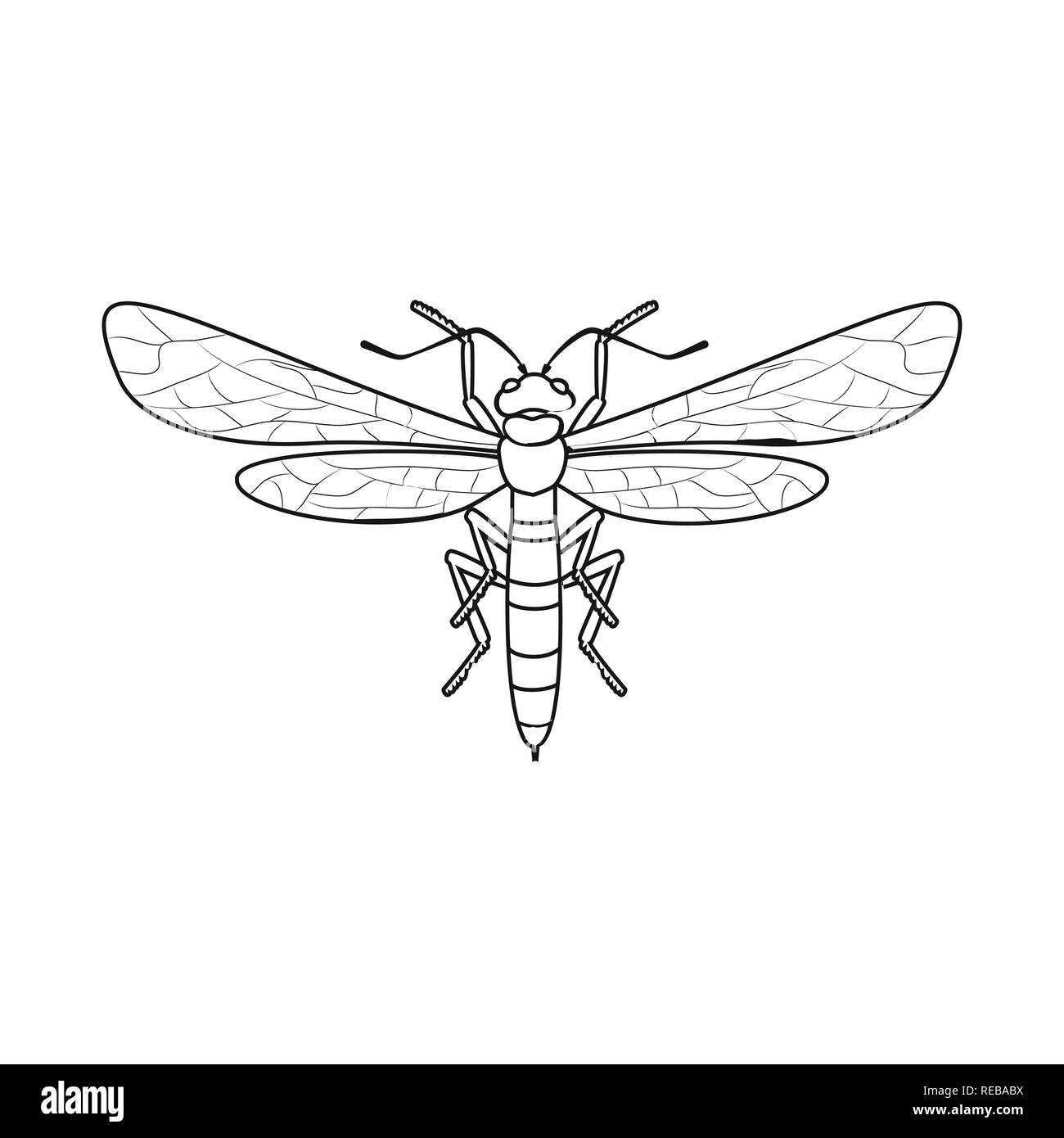 fly,insect,pest,control,stop,wings,insecticide,killer,wildlife,summer ...