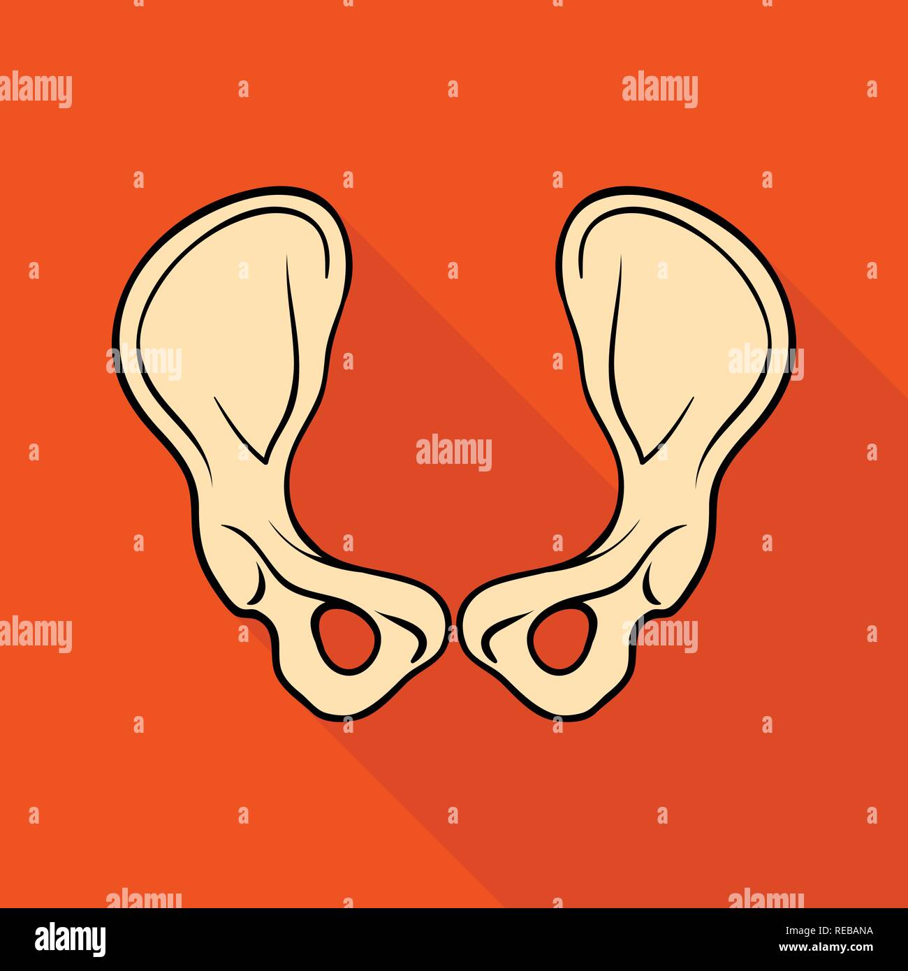 Hip joints Stock Vector Images - Alamy