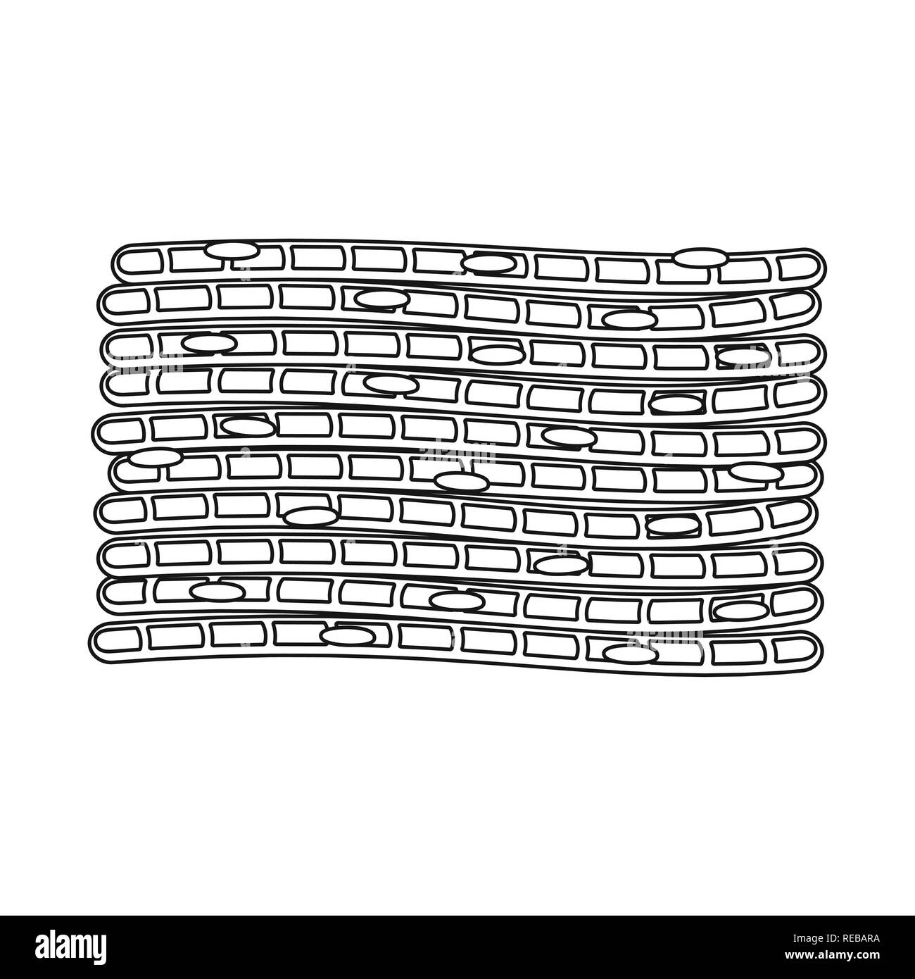 Skeletal muscle fiber cell Black and White Stock Photos & Images - Alamy