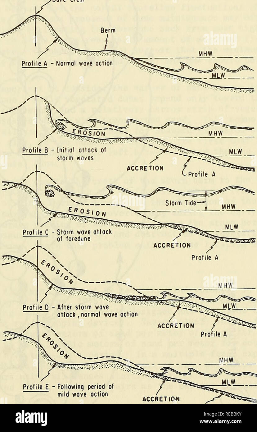 sand dune profiles