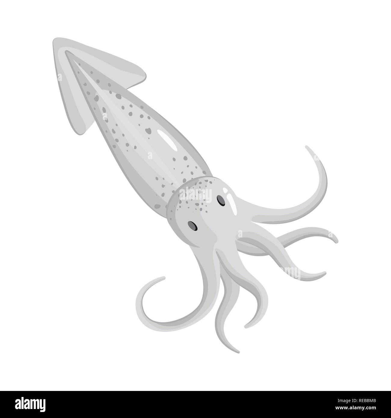Squid Tentacles Illustration