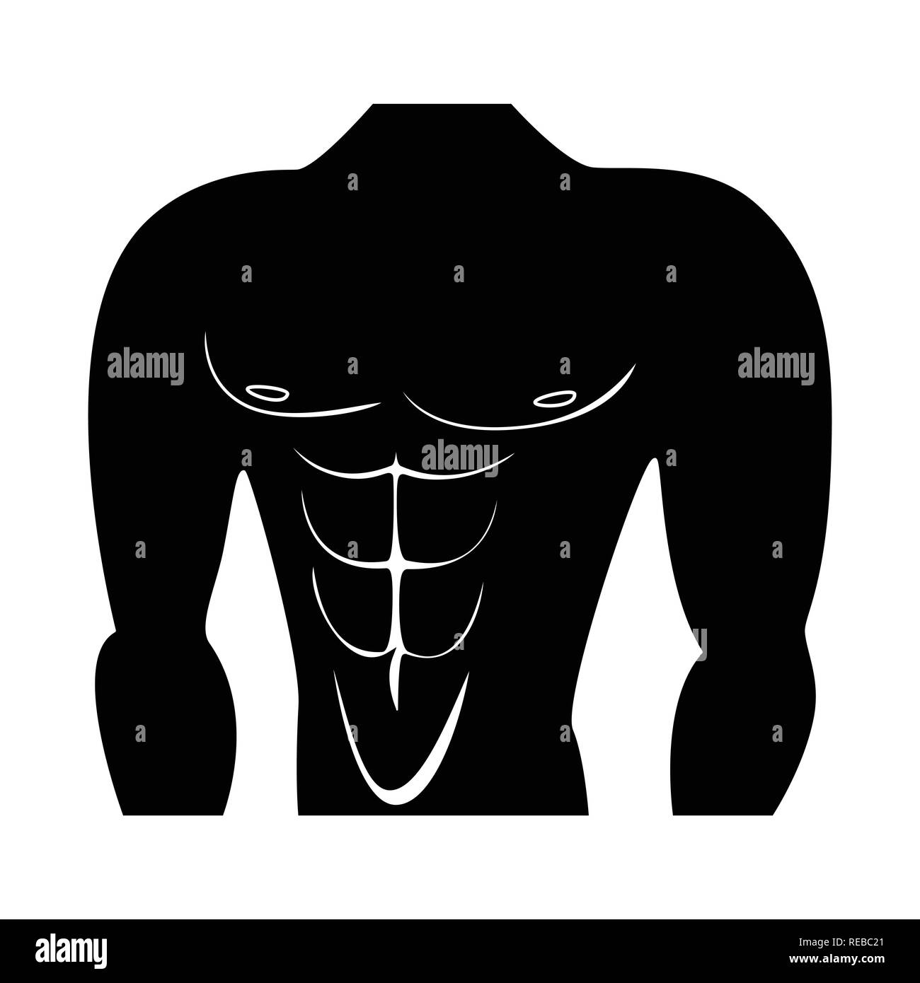 man,male,abs,torso,healthy,handsome,athletic,gym,strong,muscle,cells ...