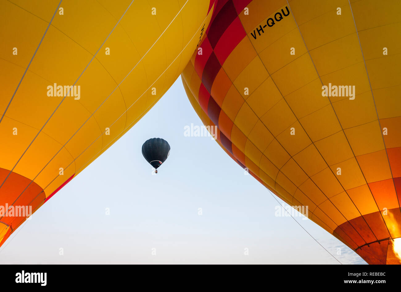 Hot air balloons at dawn Stock Photo - Alamy