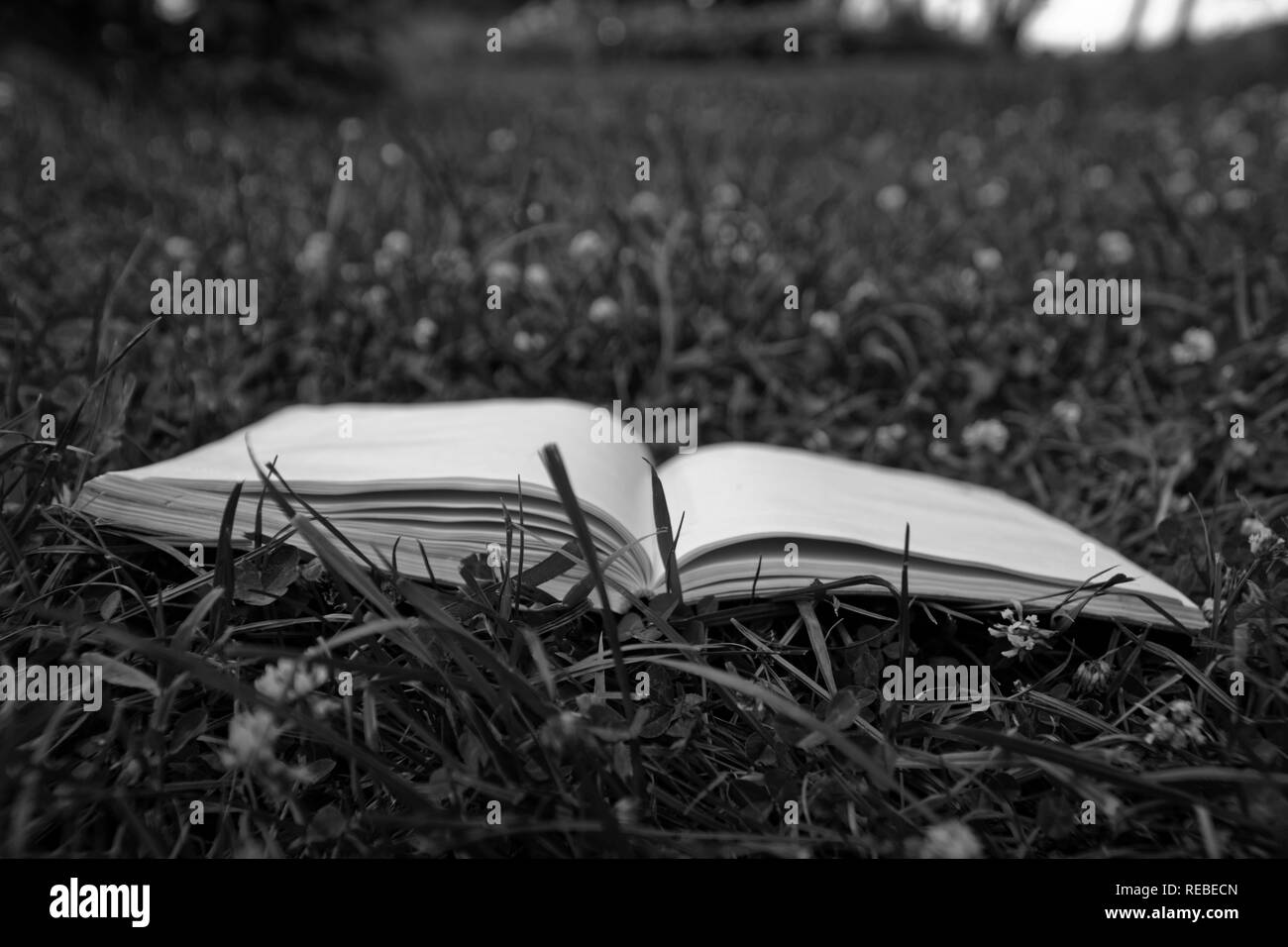 Open green field in Black and White Stock Photos & Images - Alamy