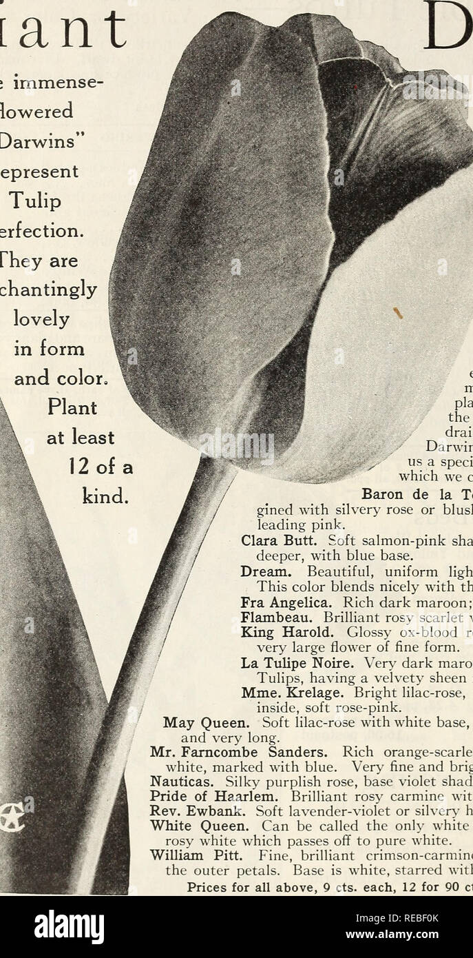 . The Conard & Jones Co. roses. Rose culture; Roses; Fruit Seeds ...