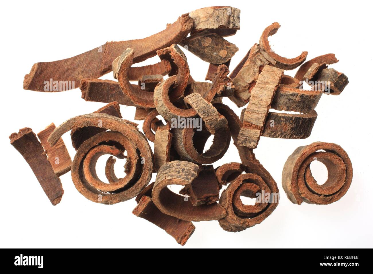 Houpu magnolia magnolia officinalis hi-res stock photography and images ...