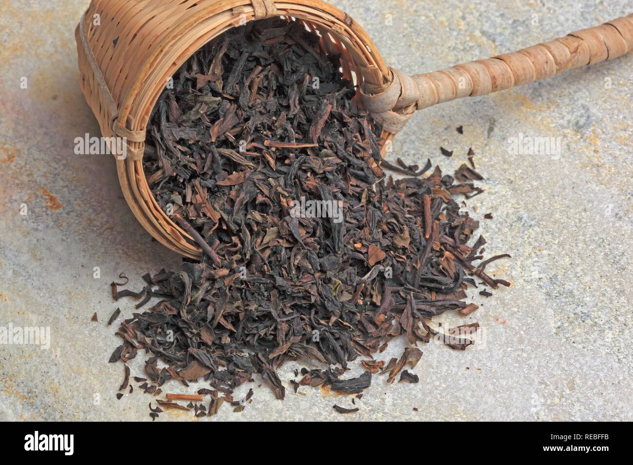 Tea, Lapsang, Lapsang souchong, Chinese smoked black tea, traditionally ...