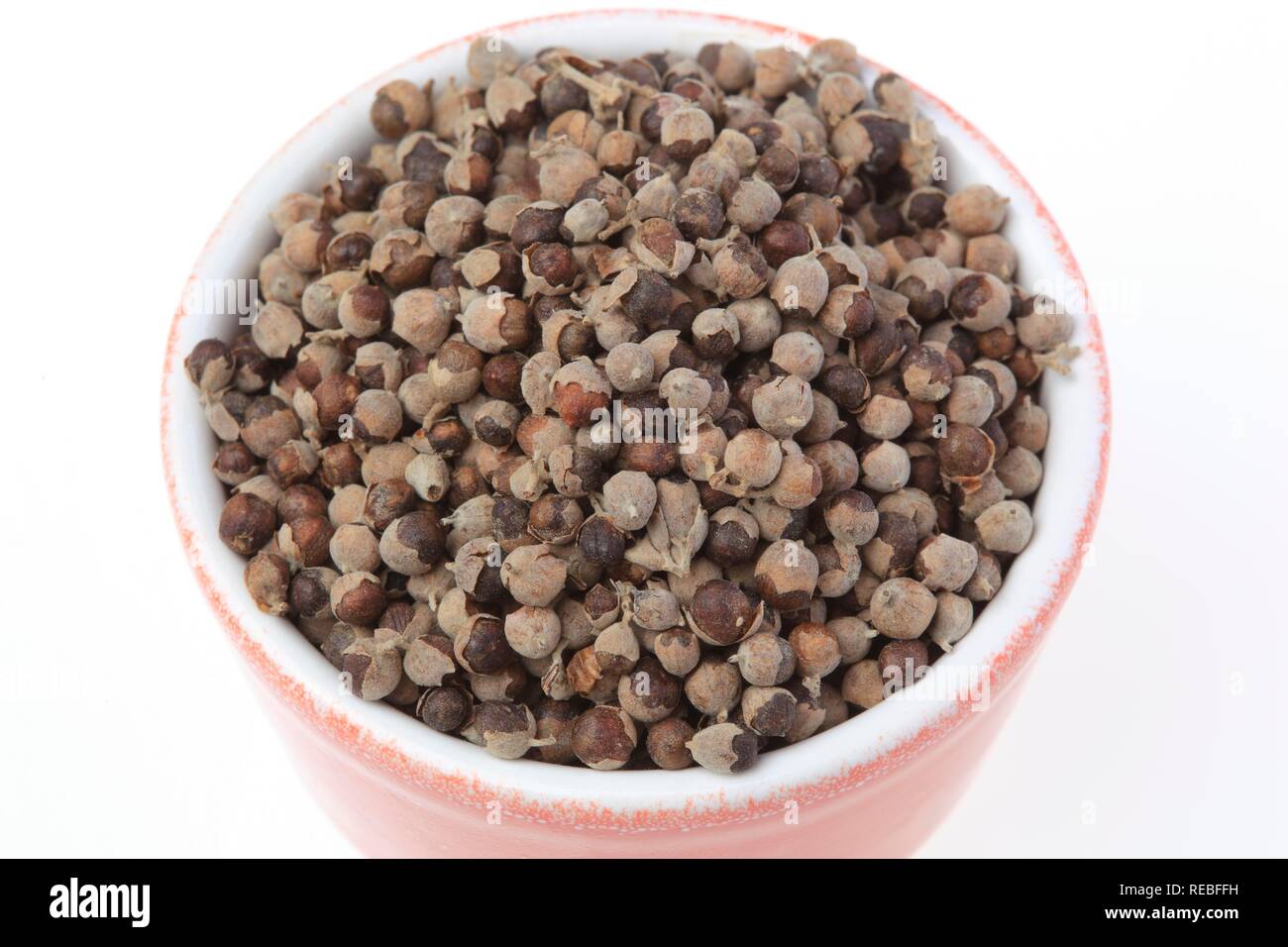 Medicinal plant seeds, Vitex, Chaste Tree, Chasteberry or Monk's Pepper ...