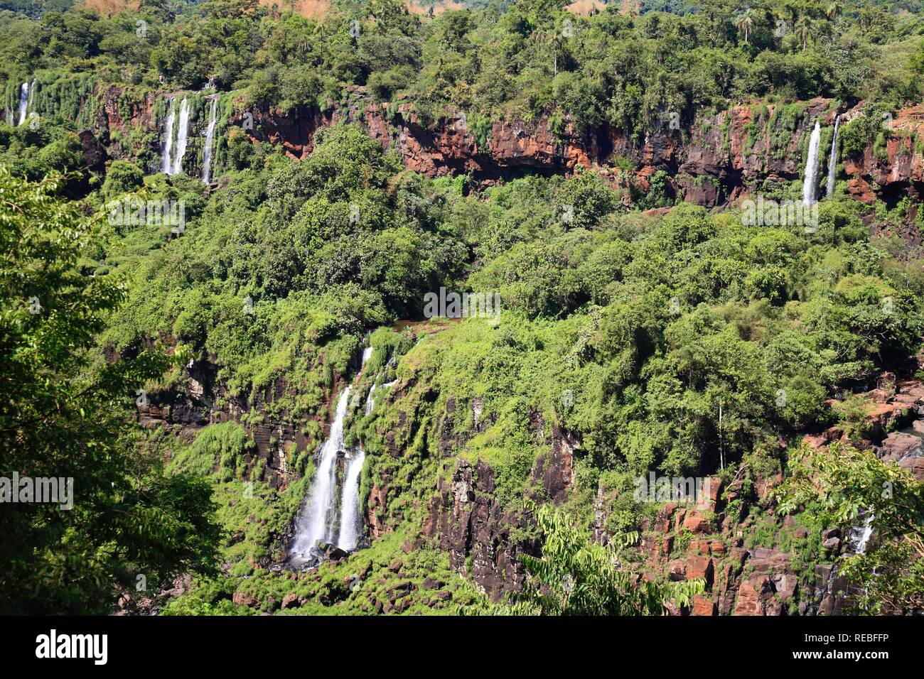 Aerial photo, jungle, rainforest, Parana, Brazil, South America Stock ...