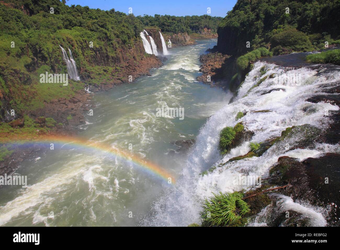 Rio Iguaçu river passing through Brazilian rainforest, Parana, Brazil ...