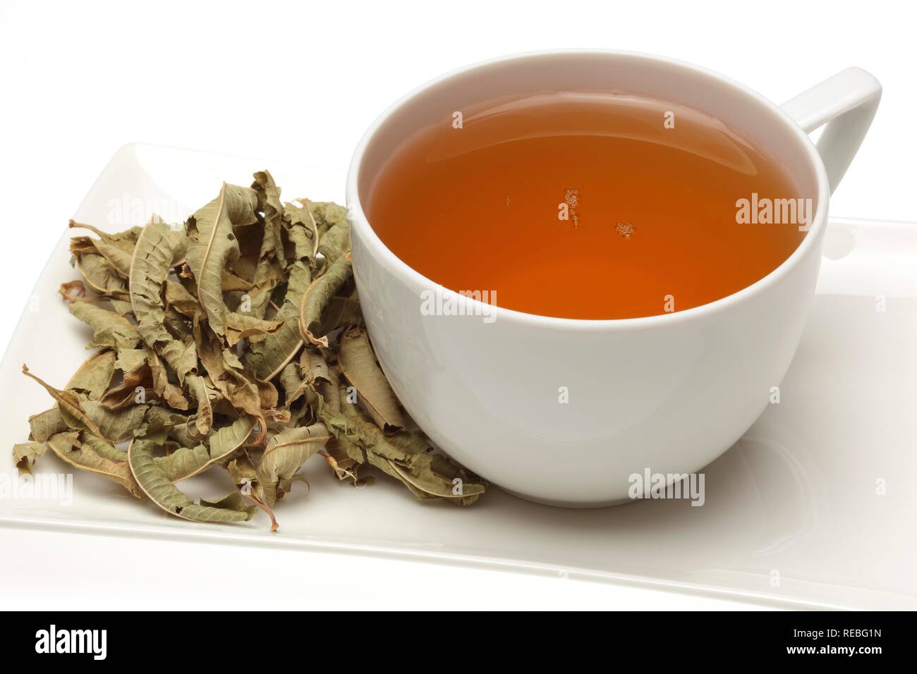 Herbal tea, medicinal tea made of common verbena, Vervain, Herb of ...