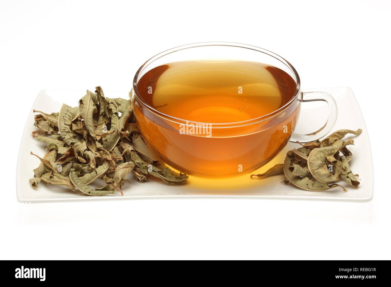 Herbal tea, medicinal tea made of common verbena, Vervain, Herb of ...