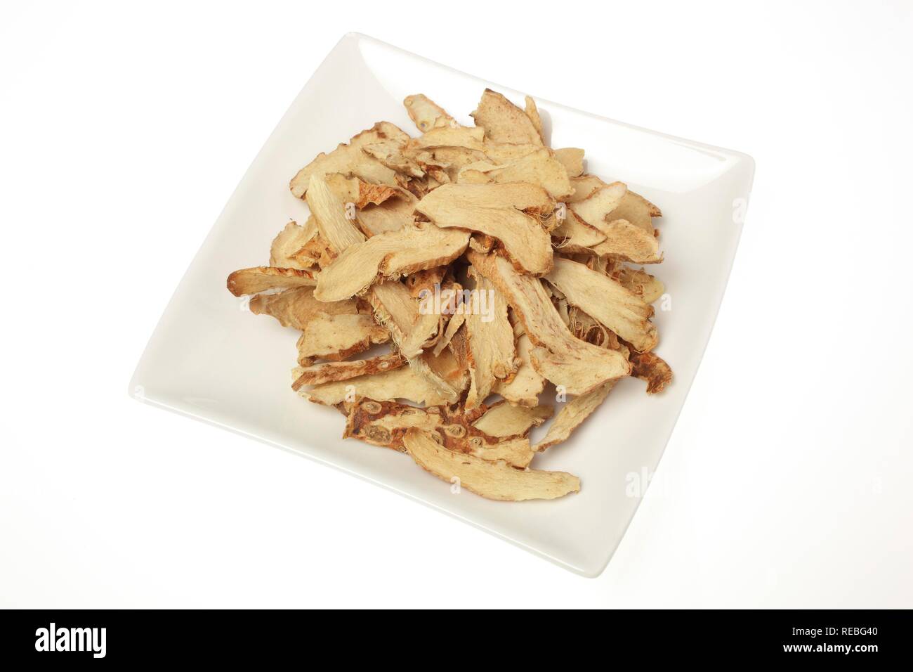 Medicinal plant Common Anemarrhena (Anemarrhena asphodeloides), Zhi Mu ...