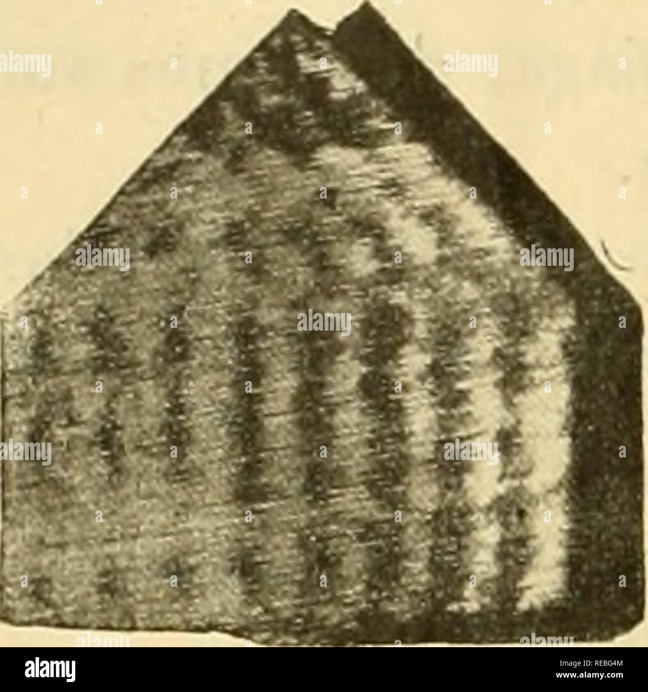 Loi triangulaire hi-res stock photography and images - Alamy