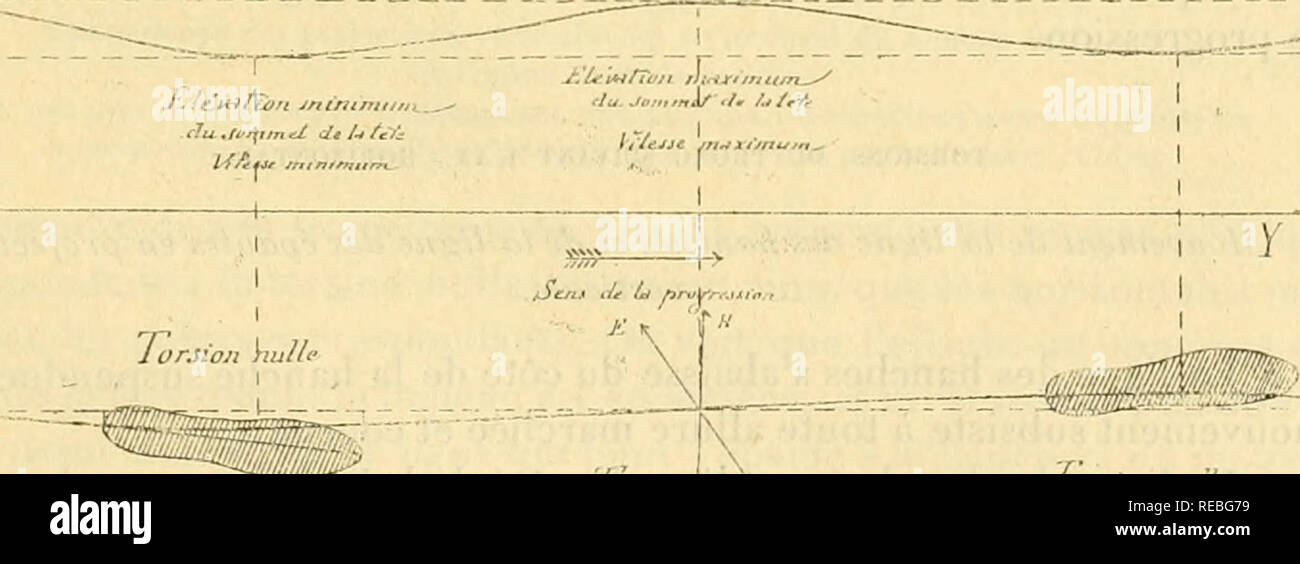 Position verticale hi-res stock photography and images - Alamy