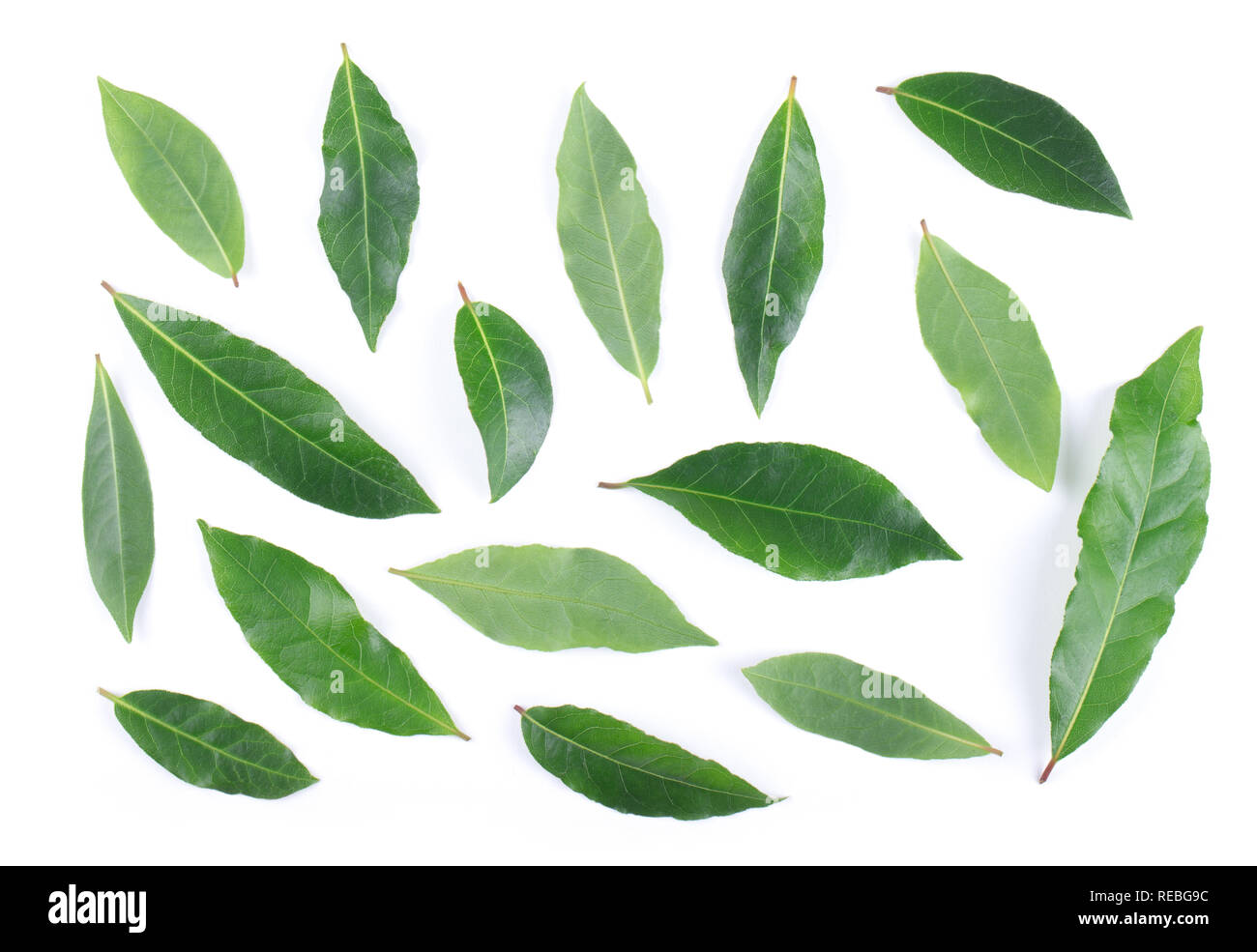 Bay leaves isolated on white background Stock Photo - Alamy