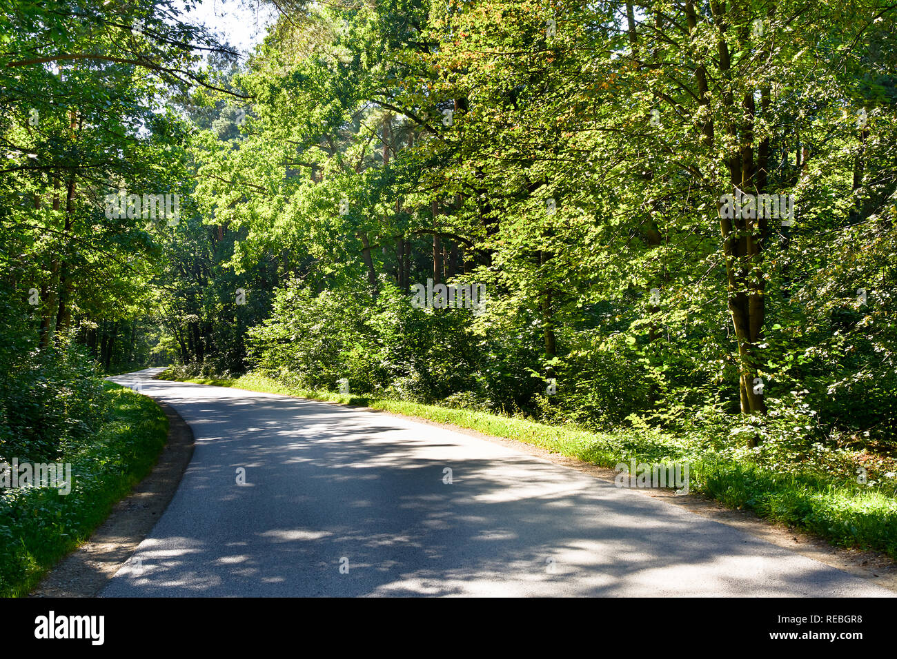 A winding road through the forest Stock Photo - Alamy