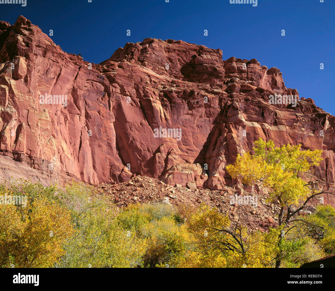 USA, Utah, Capitol Reef National Park, Redrock cliffs rise above early ...