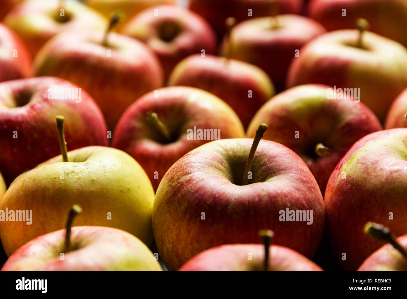 Glowing fruits hi-res stock photography and images - Alamy