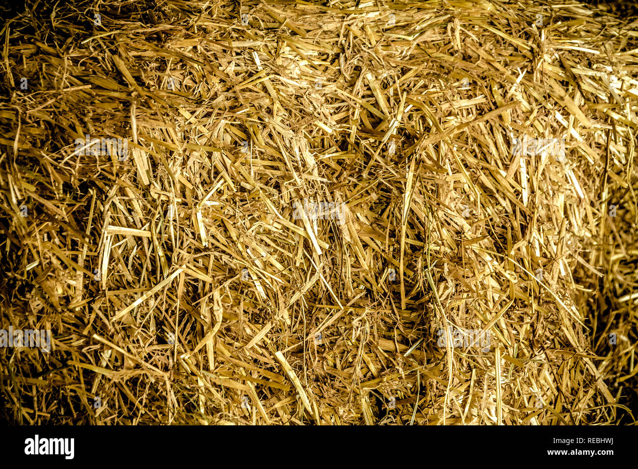 Strawbales hi-res stock photography and images - Alamy