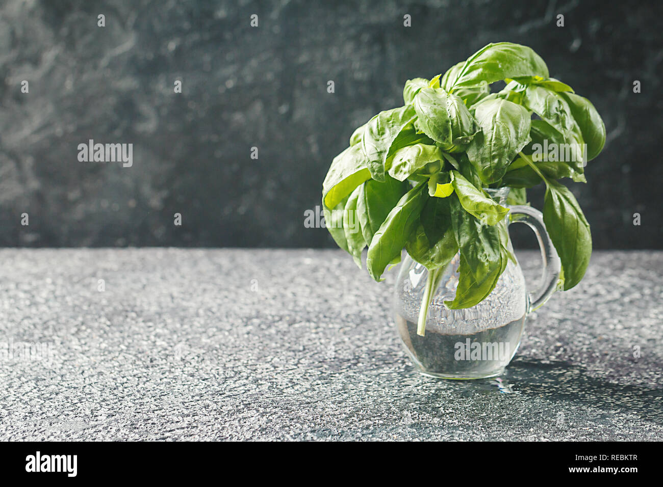 Fresh green basil plant for healthy cooking, herbs and spices Stock ...