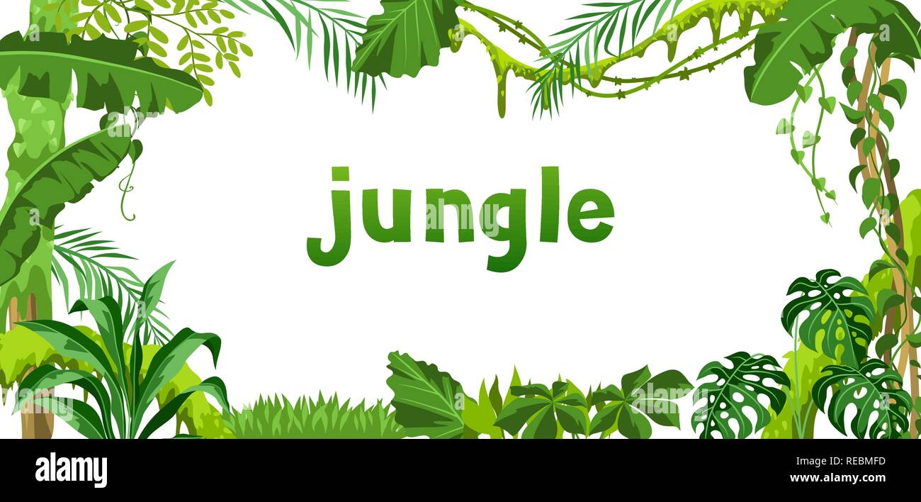 Green jungle background liana Stock Vector Images - Alamy