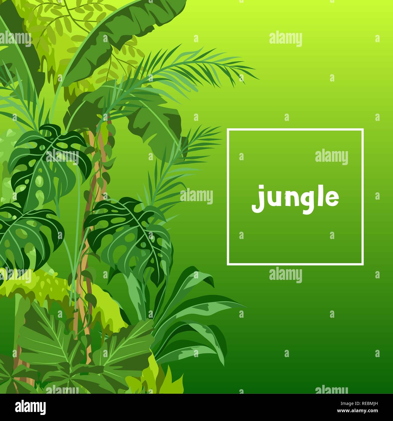 Background with jungle plants Stock Vector Image & Art - Alamy
