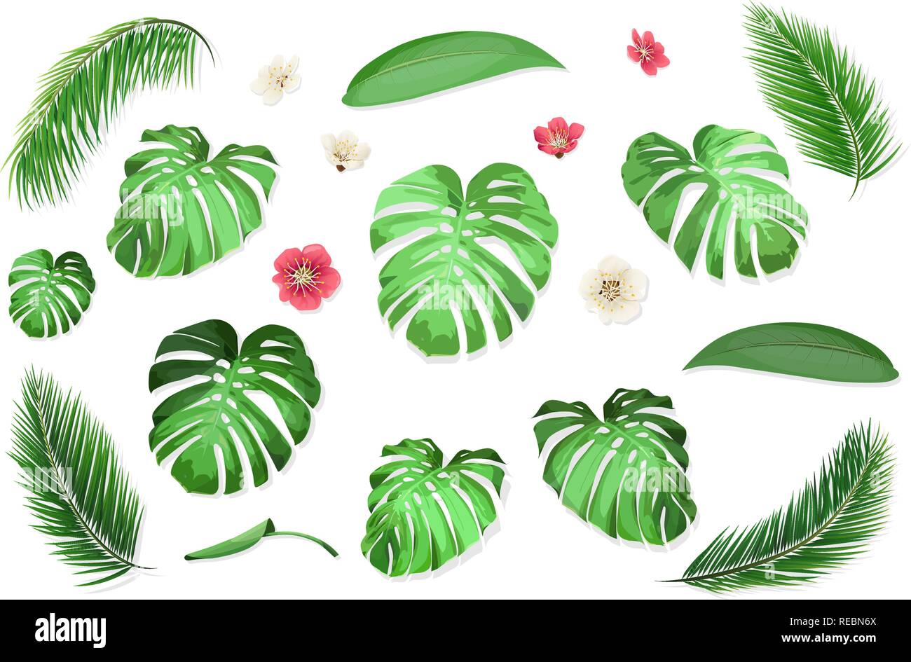 Tropical leaves set Stock Vector Image & Art - Alamy