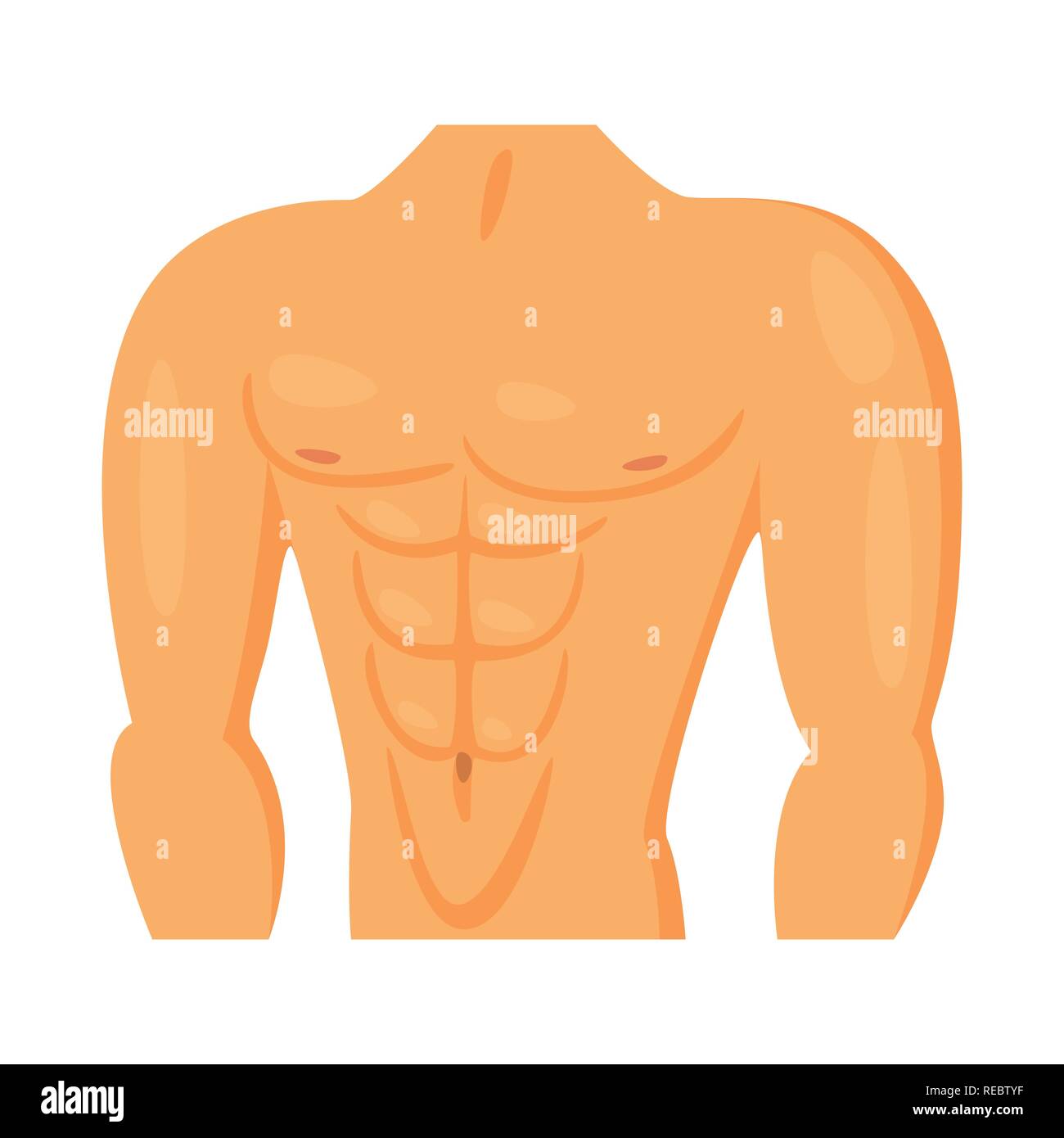 man,male,abs,torso,healthy,handsome,athletic,gym,strong,muscle,cells ...