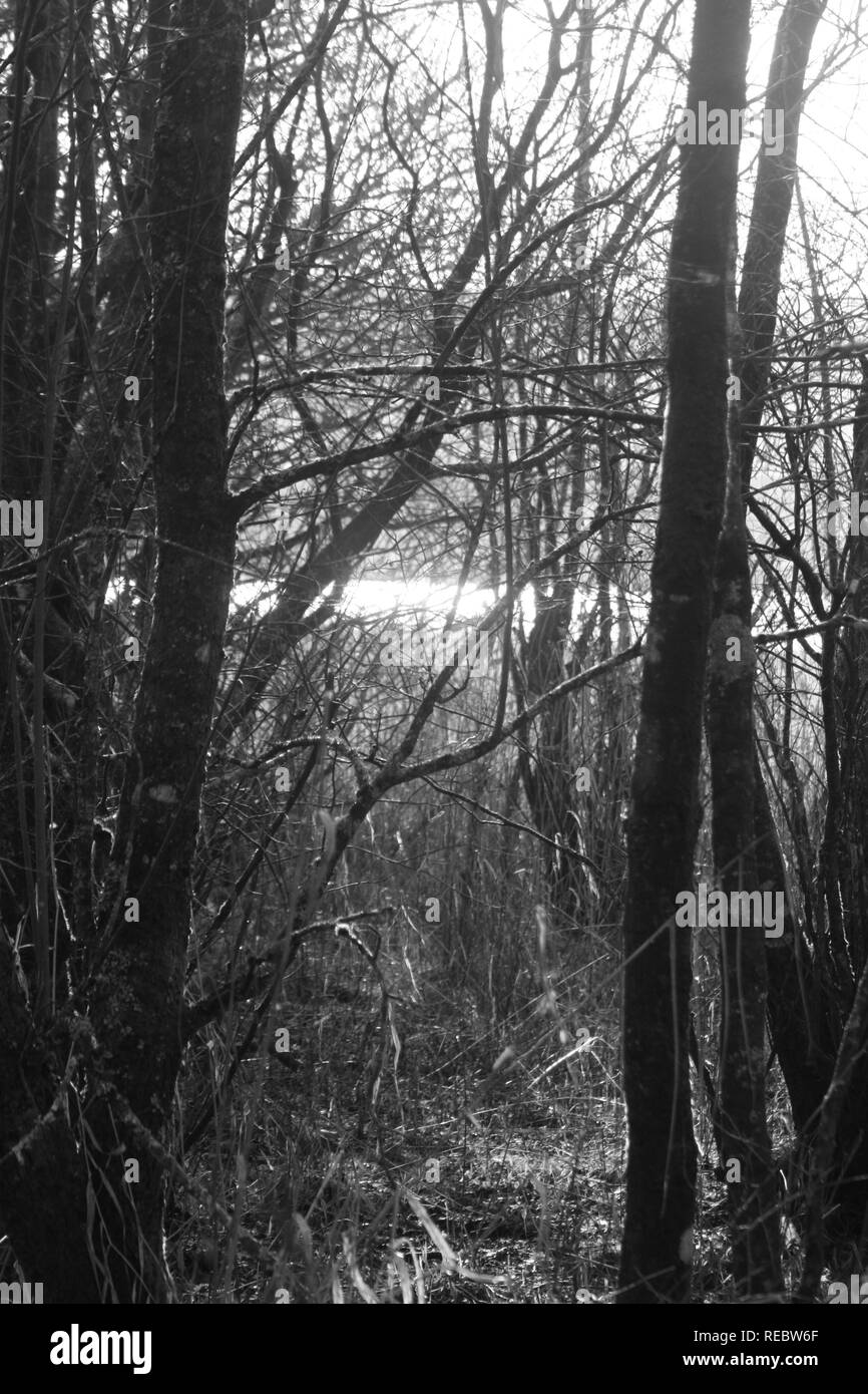 Draft and sun Stock Photo - Alamy