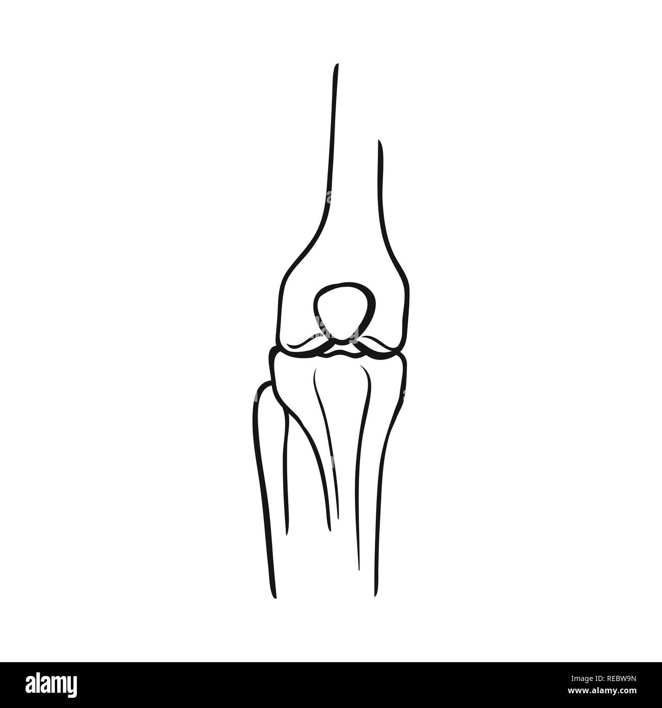 Tibia fibula joint Black and White Stock Photos & Images - Alamy