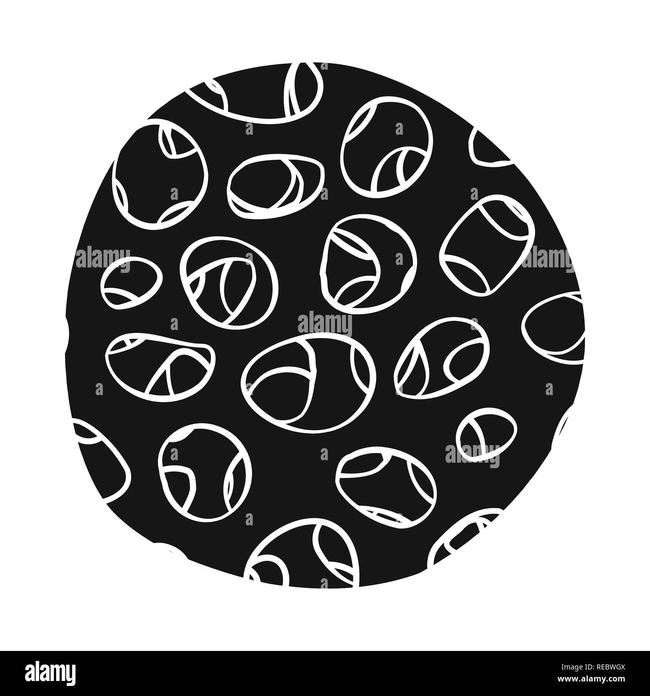 fiber,healthy,scientific,muscle,epithelium,epidermis,tendon,cell,tissue ...