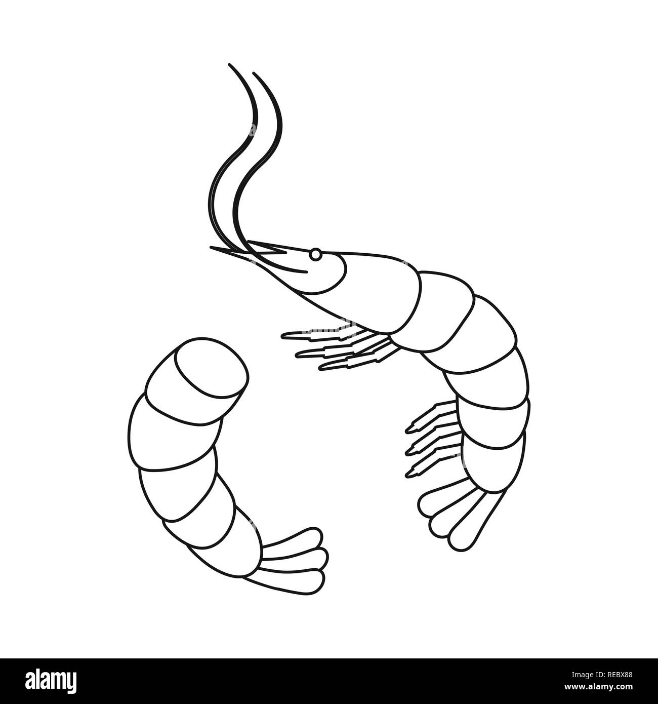 shrimp,prawn,fish,menu,lobster,delicacy,cooked,cute,food,sea,seafood ...