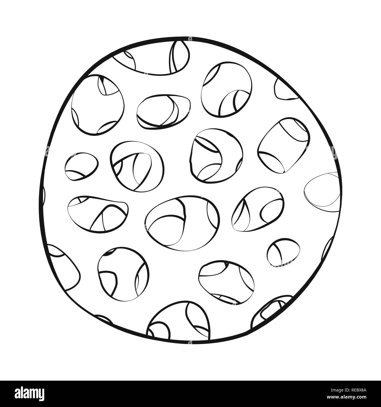 fiber,healthy,scientific,muscle,epithelium,epidermis,tendon,cell,tissue ...