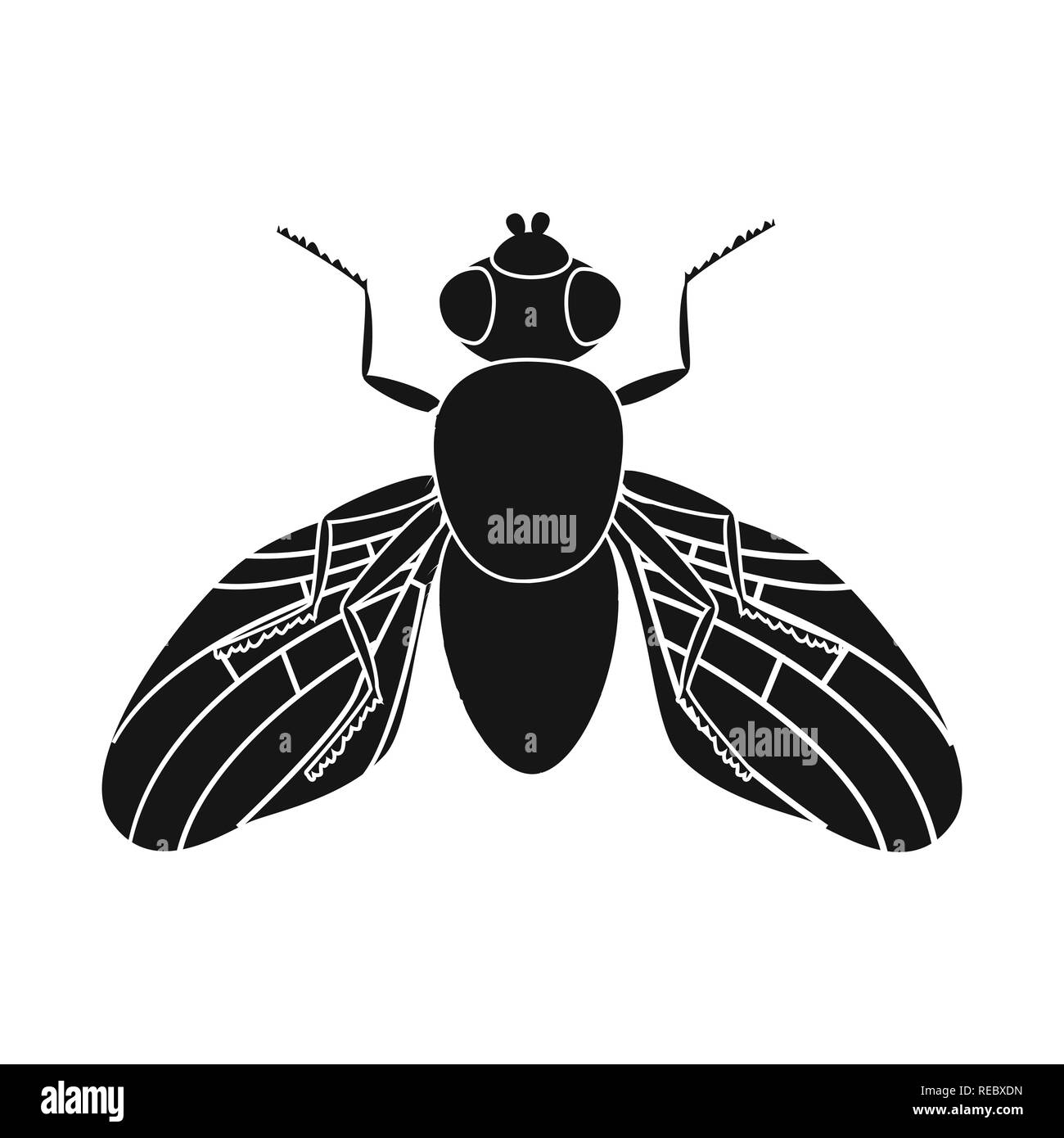 fly,insect,pest,control,stop,wings,insecticide,killer,wildlife,summer ...
