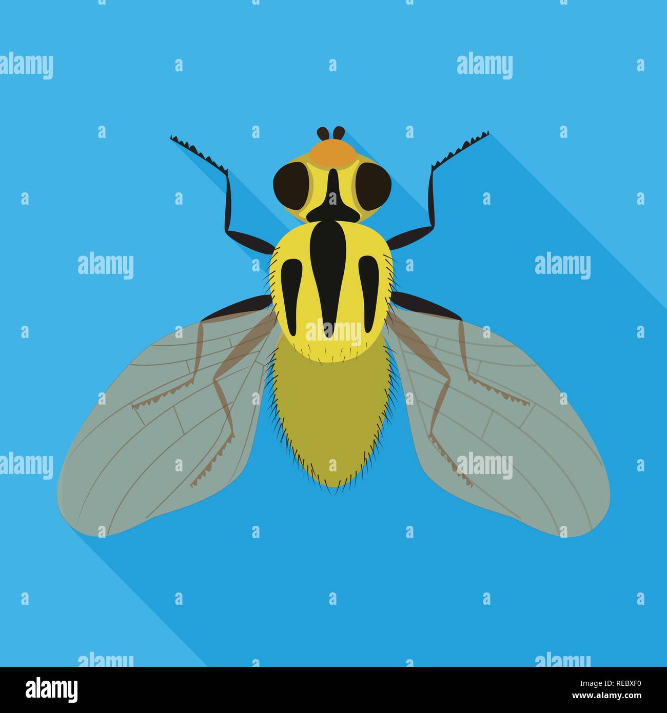 fly,insect,pest,control,stop,wings,insecticide,killer,wildlife,summer ...