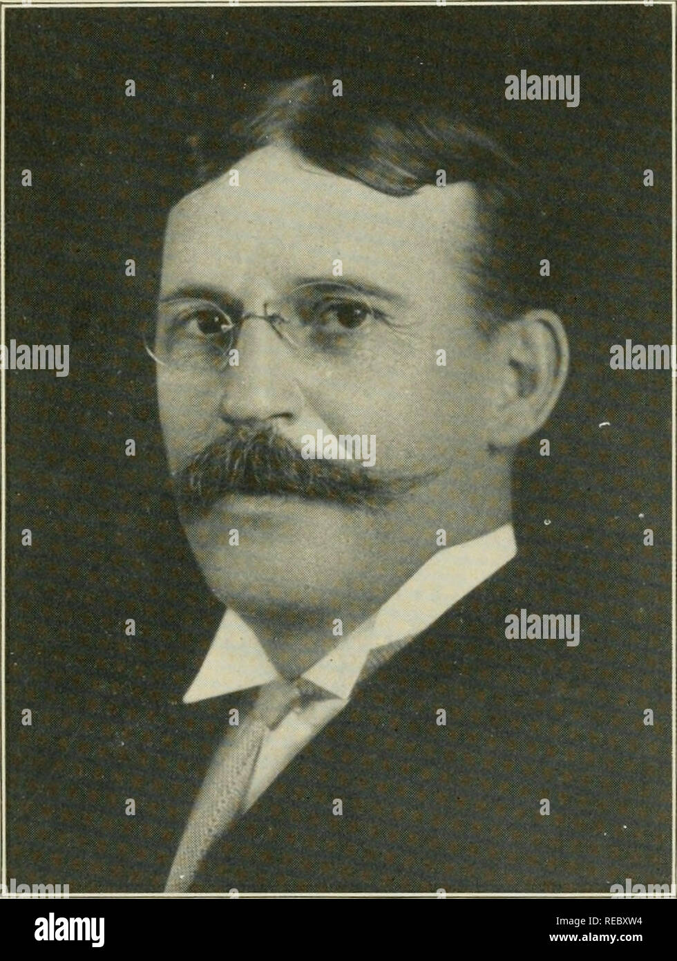 President wildfowl hi-res stock photography and images - Alamy