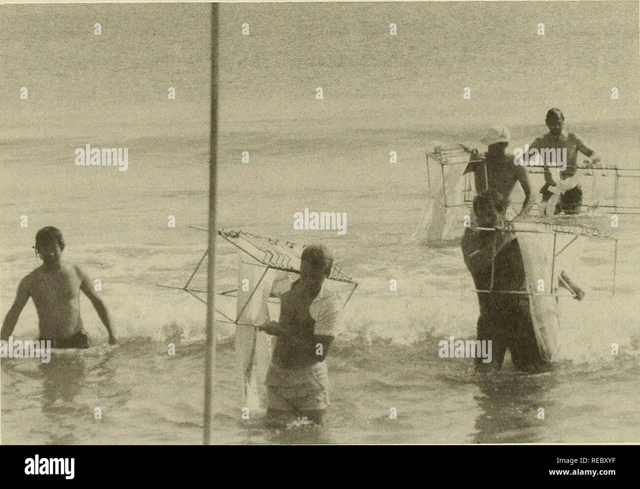 . DUCK85 surf zone sand transport experiment. Banks (Oceanography ...