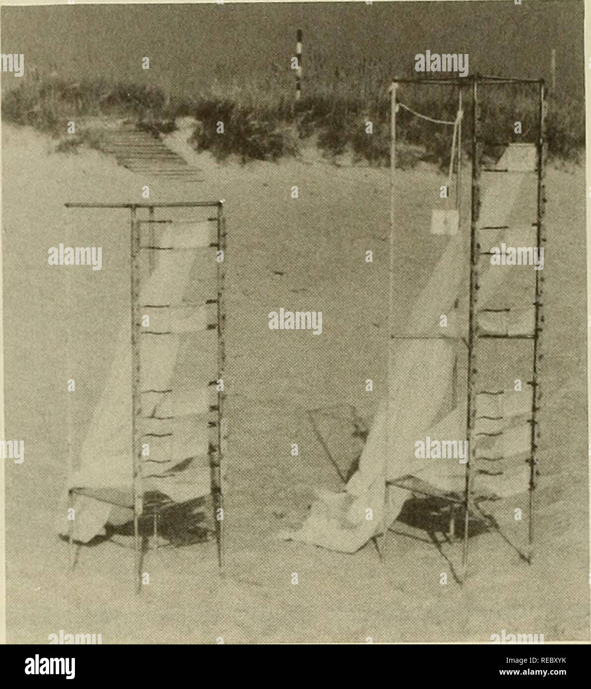 . DUCK85 surf zone sand transport experiment. Banks (Oceanography ...