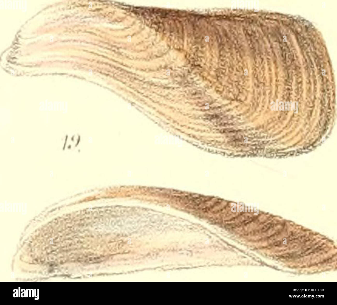 Son vincent hi hi-res stock photography and images - Alamy