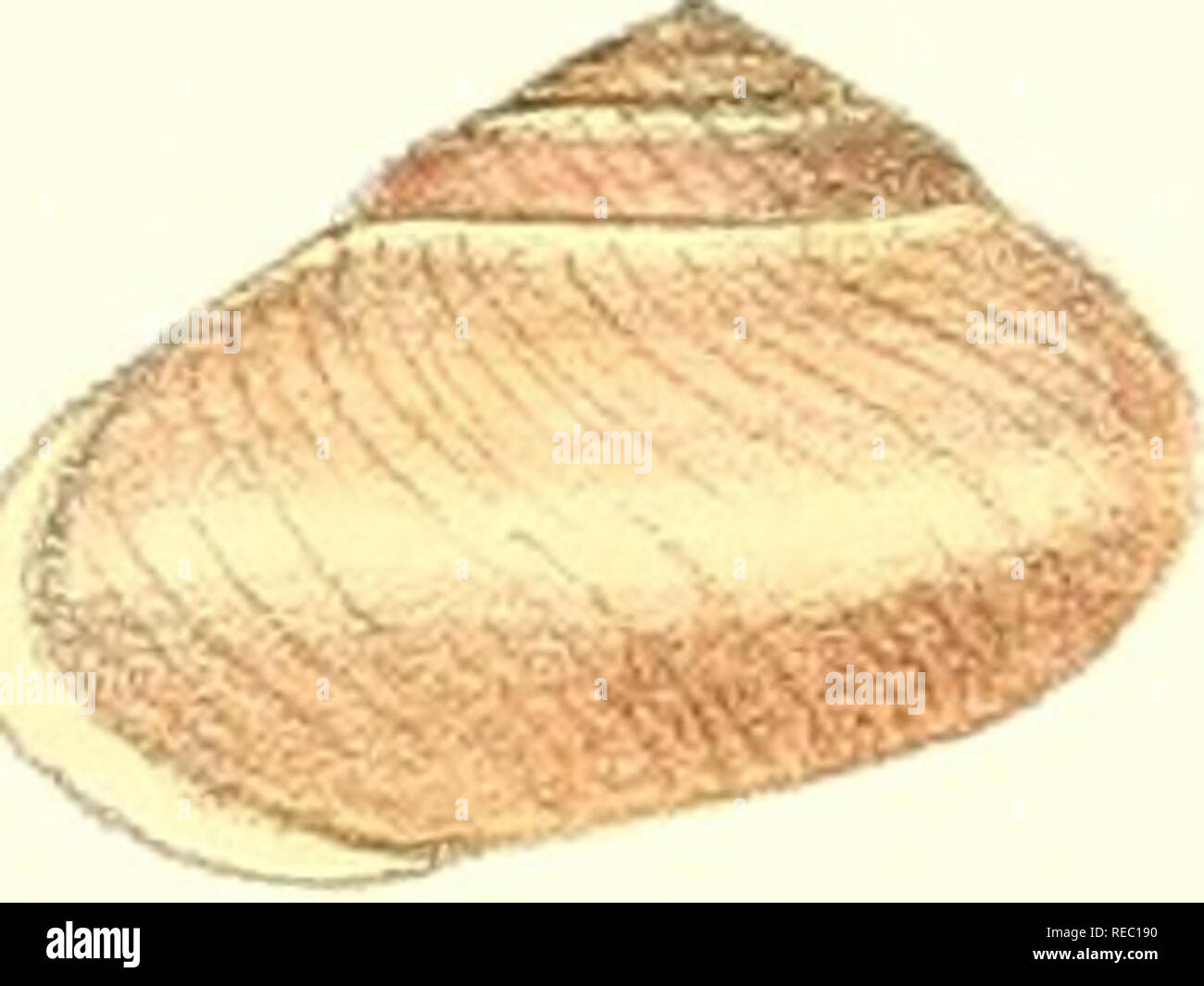 Brook vincent hi-res stock photography and images - Alamy